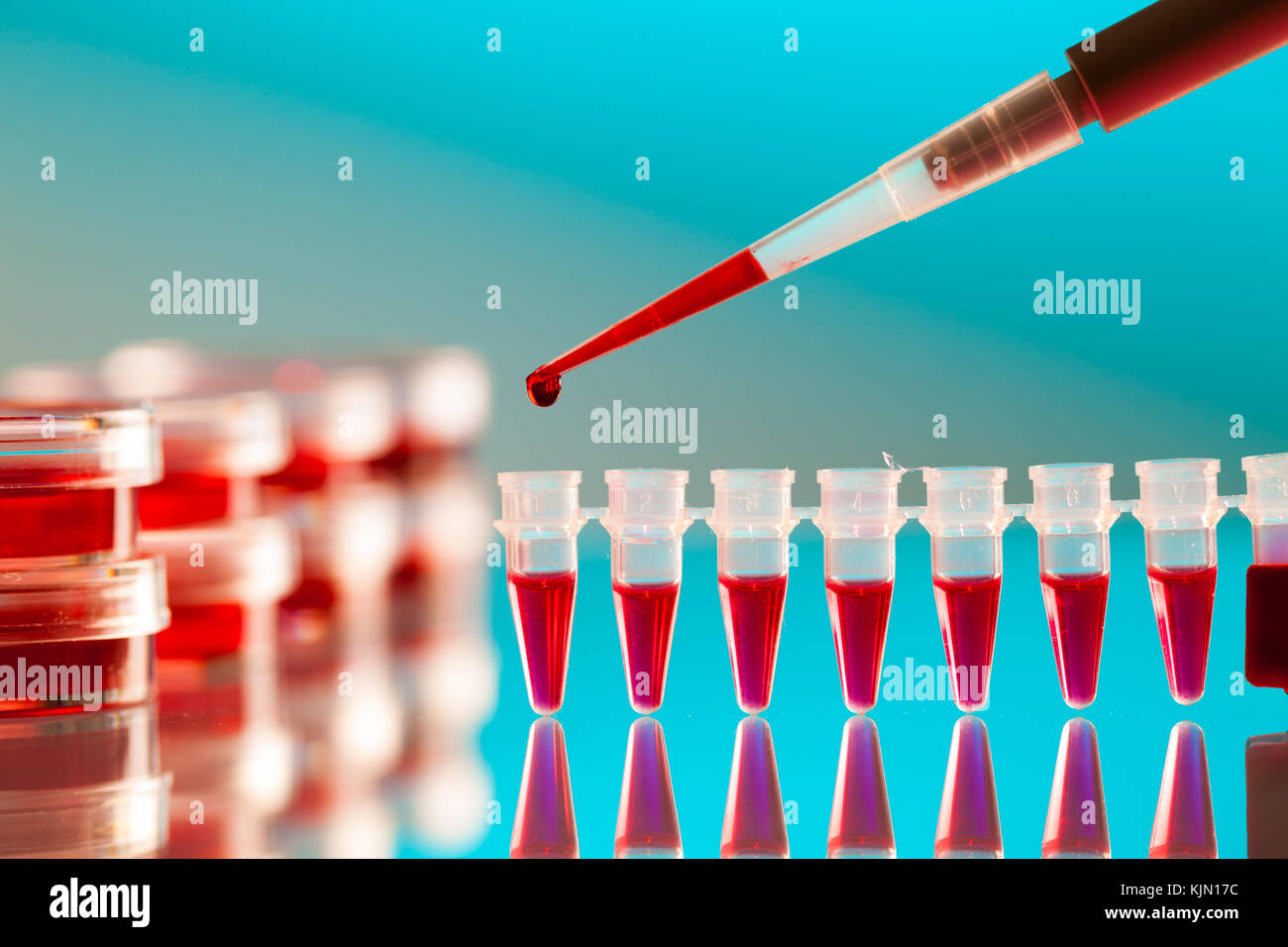 Pipette and Pcr strip Stock Photo - Alamy