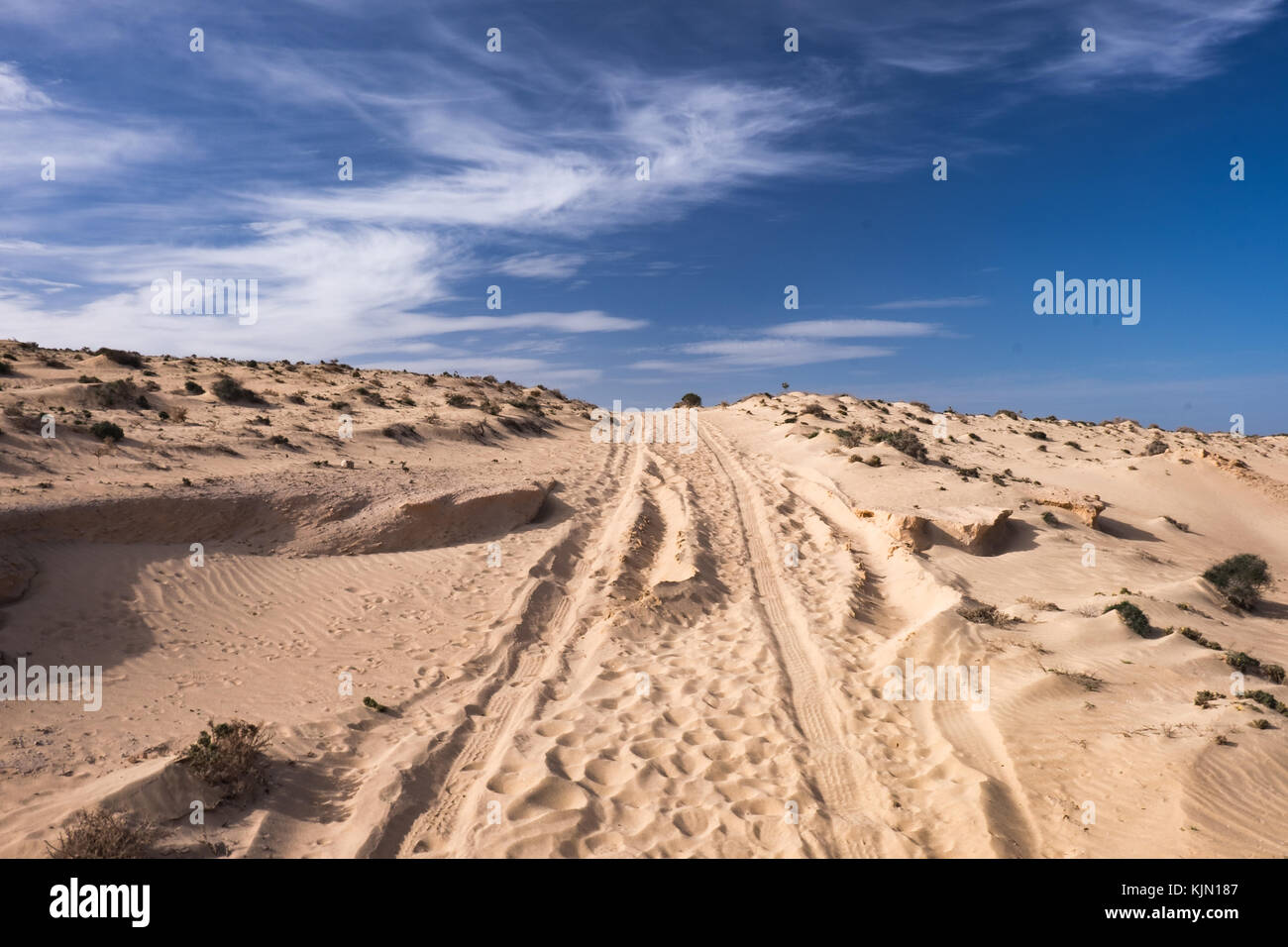 A dirt road in the sand desert Stock Photo - Alamy