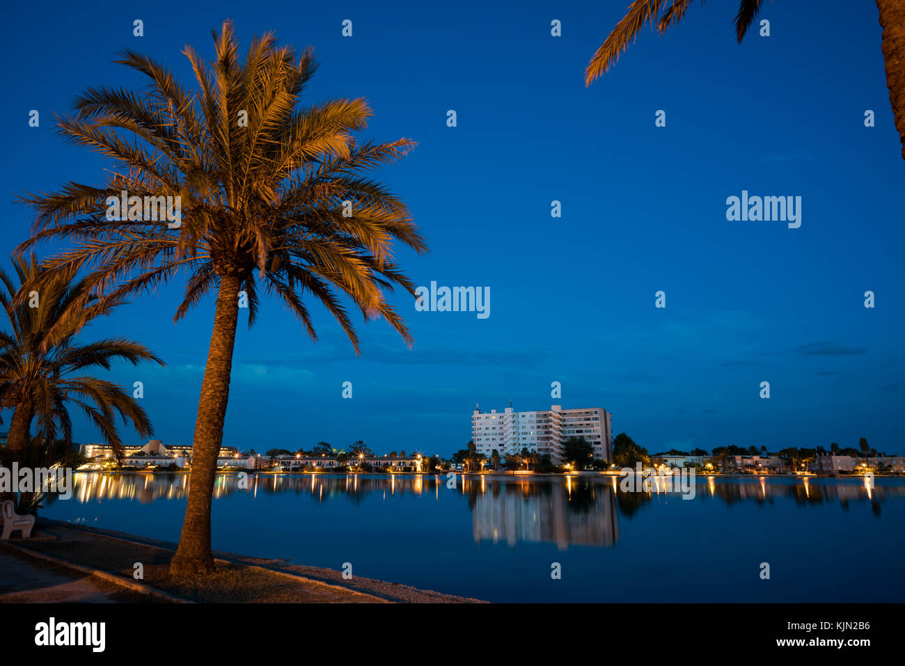 Beautiful lake night palm hi-res stock photography and images - Alamy