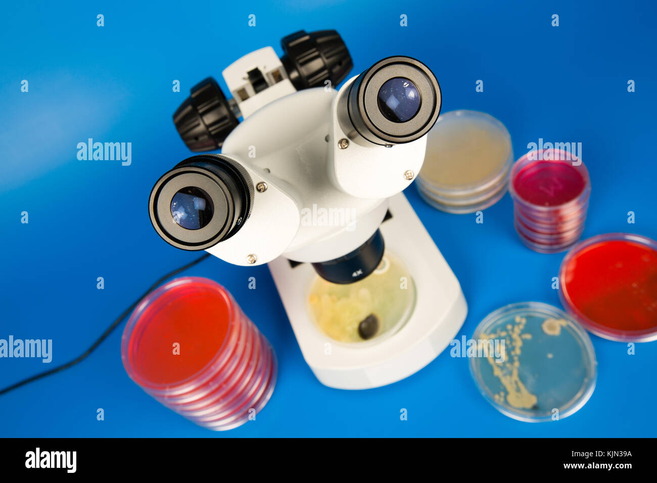 Microscope in lab Stock Photo - Alamy