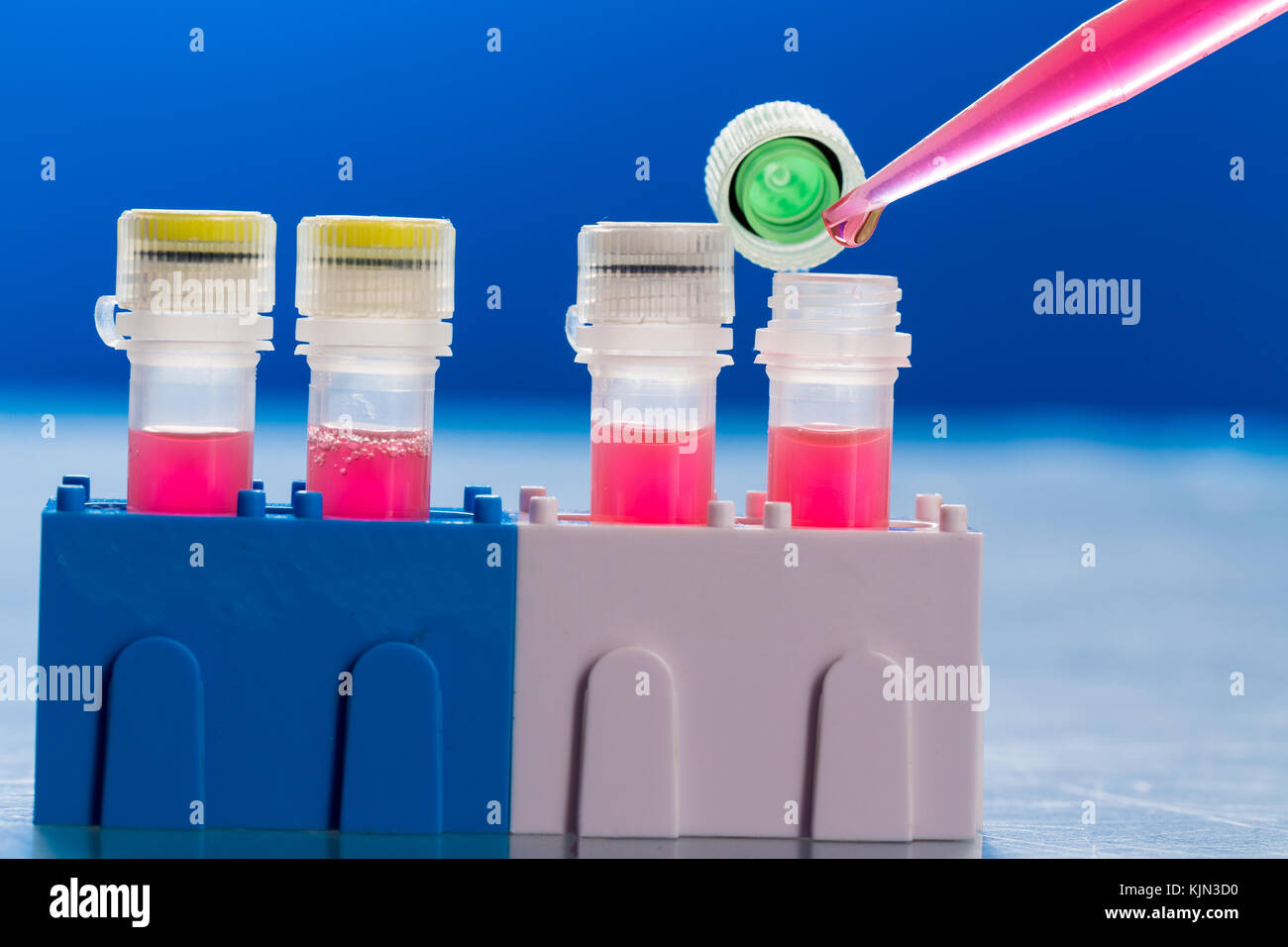 Identification of pathogenic microbes and viruses Stock Photo - Alamy