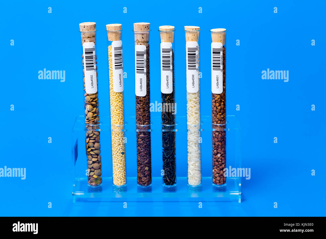 Test tubes with bar codes with seeds of selection plants Stock Photo ...