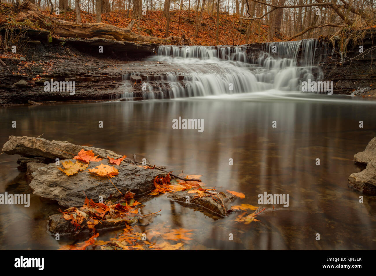 Fall in mississauga hi-res stock photography and images - Alamy