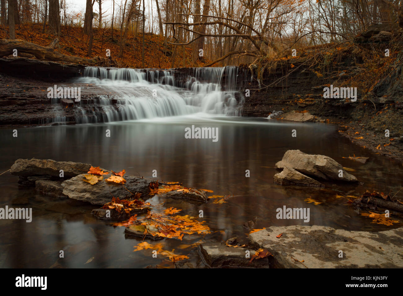 Fall in mississauga hi-res stock photography and images - Alamy