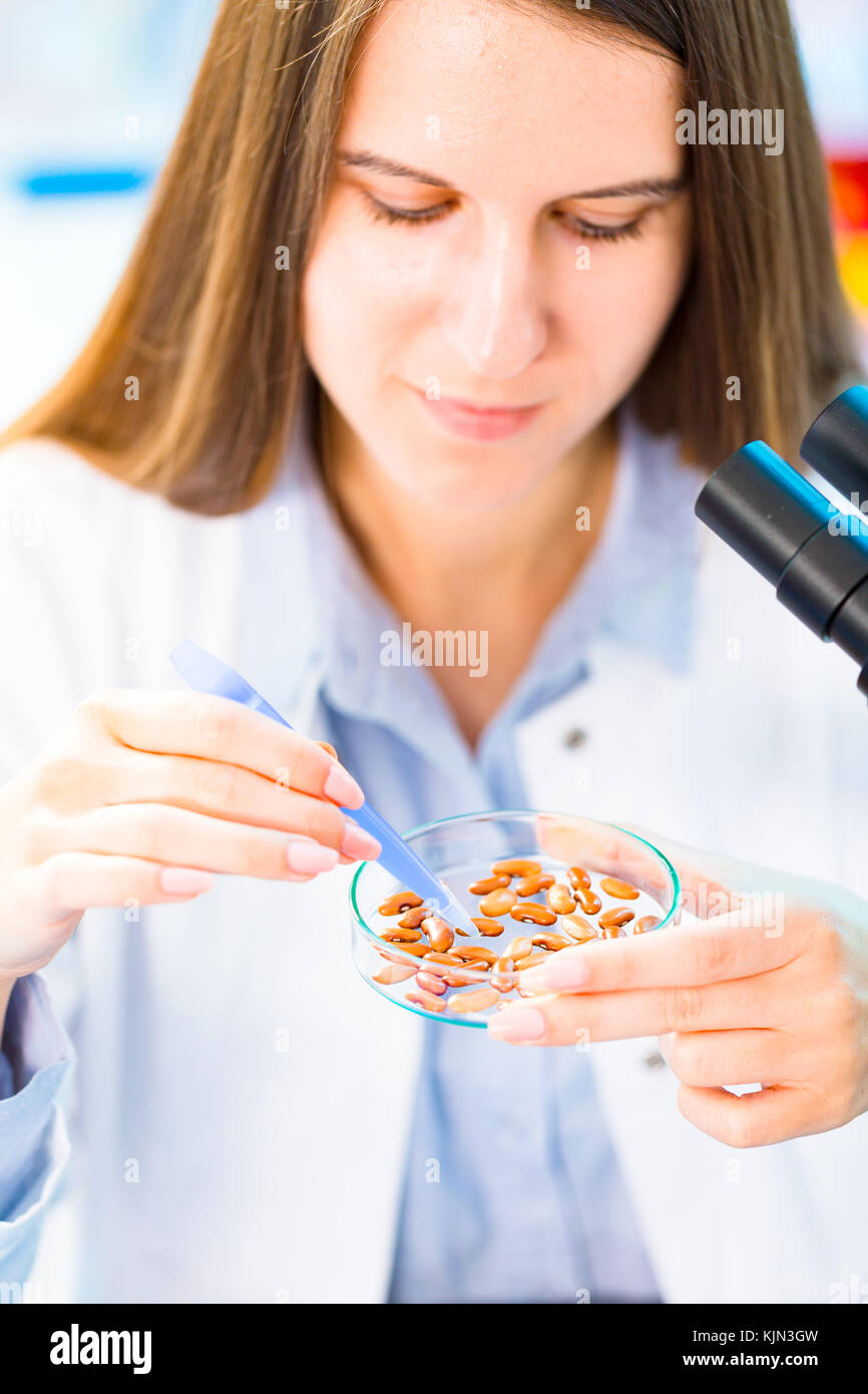Selective and genetic work with seeds and grains in a scientific ...