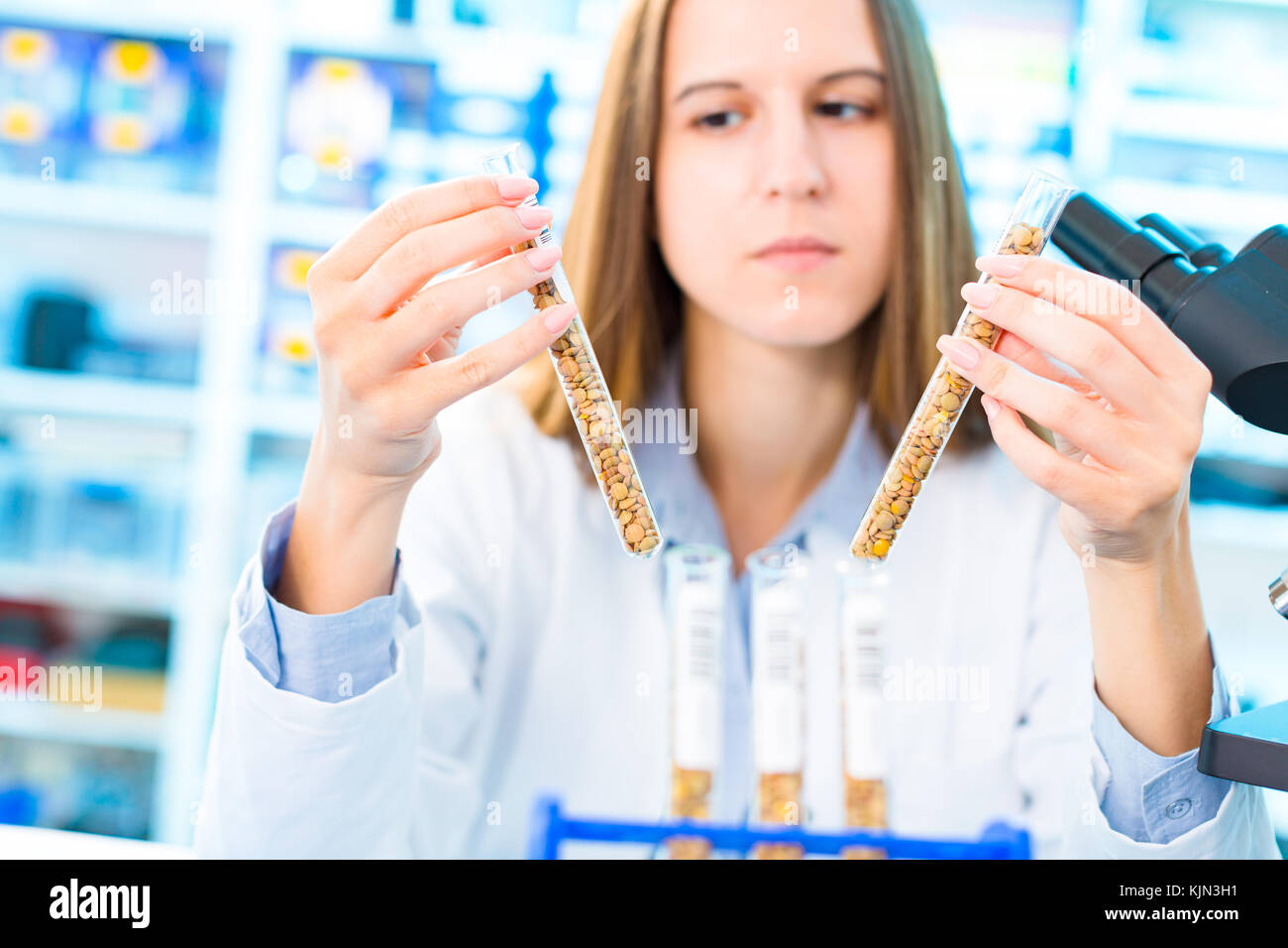 Selective and genetic work with seeds and grains in a scientific ...