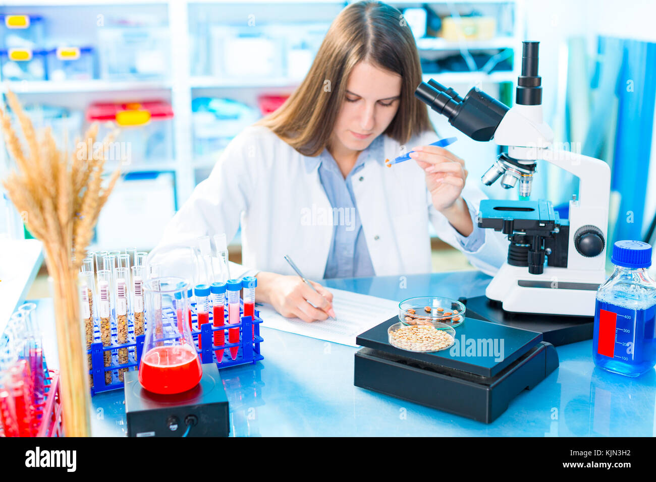 Selective and genetic work with seeds and grains in a scientific ...