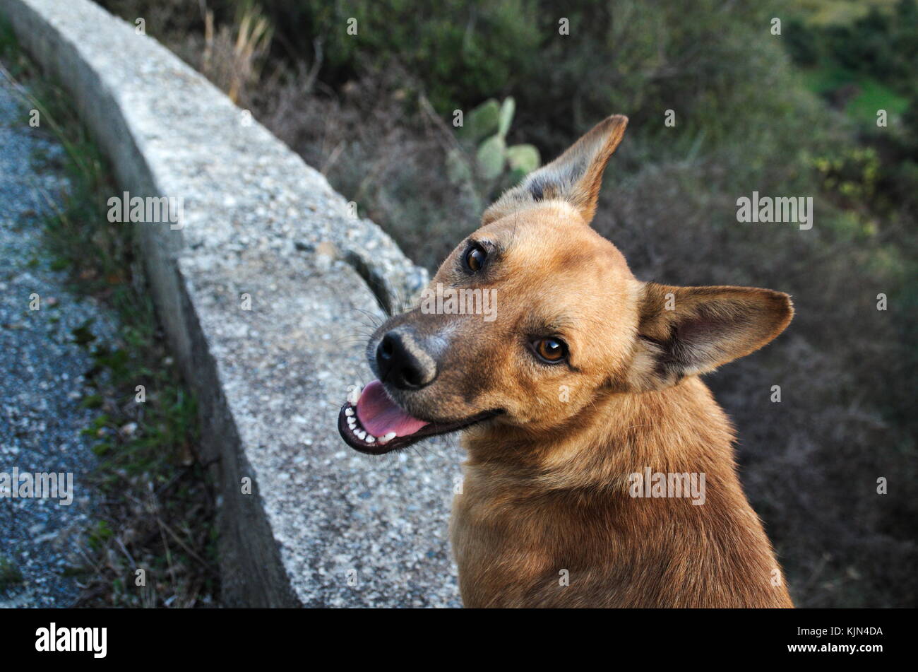 Photo of a sweet smile Stock Photo - Alamy
