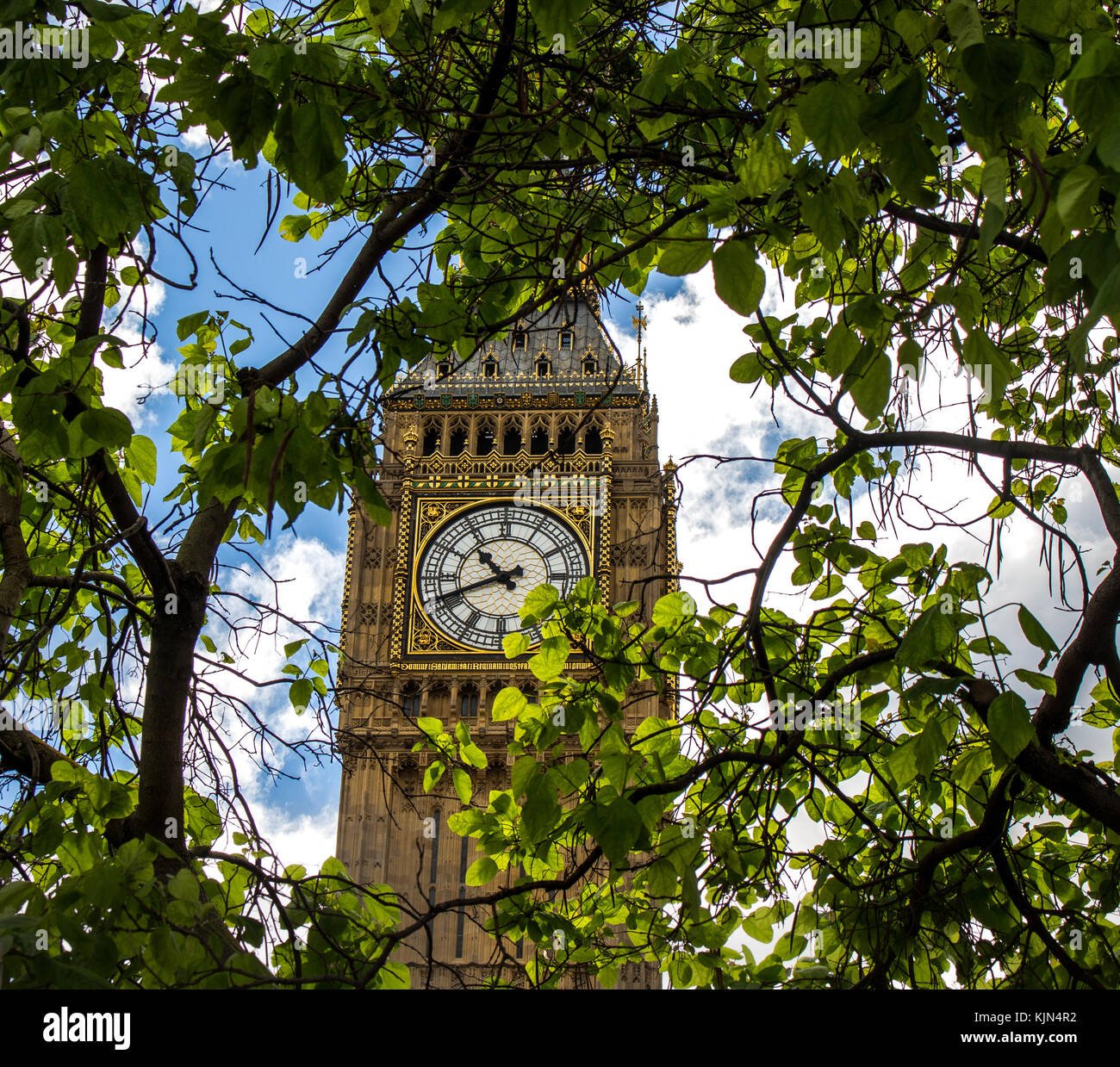 The Big ben in a natural frame Stock Photo - Alamy