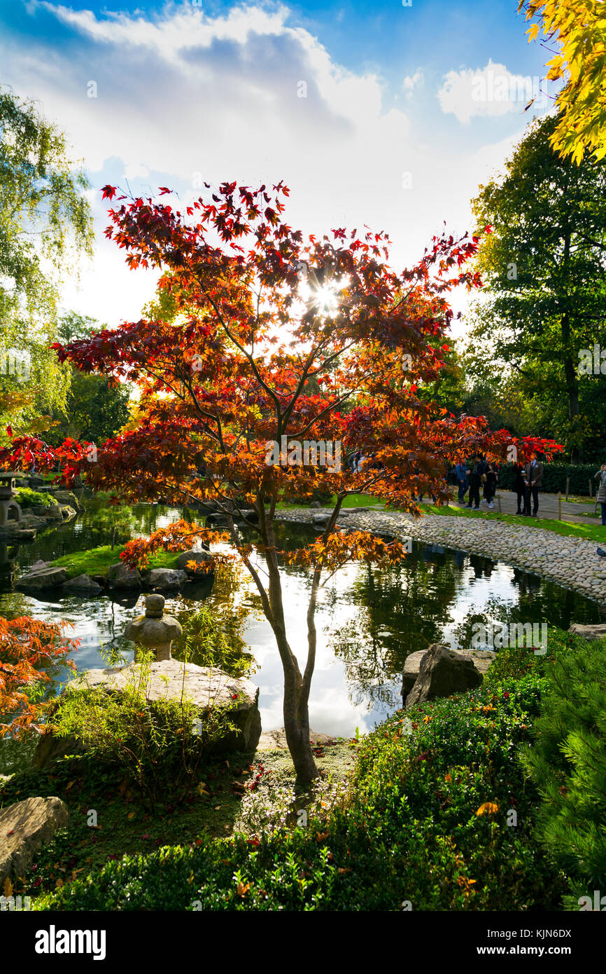 Holland park london garden hi-res stock photography and images - Alamy