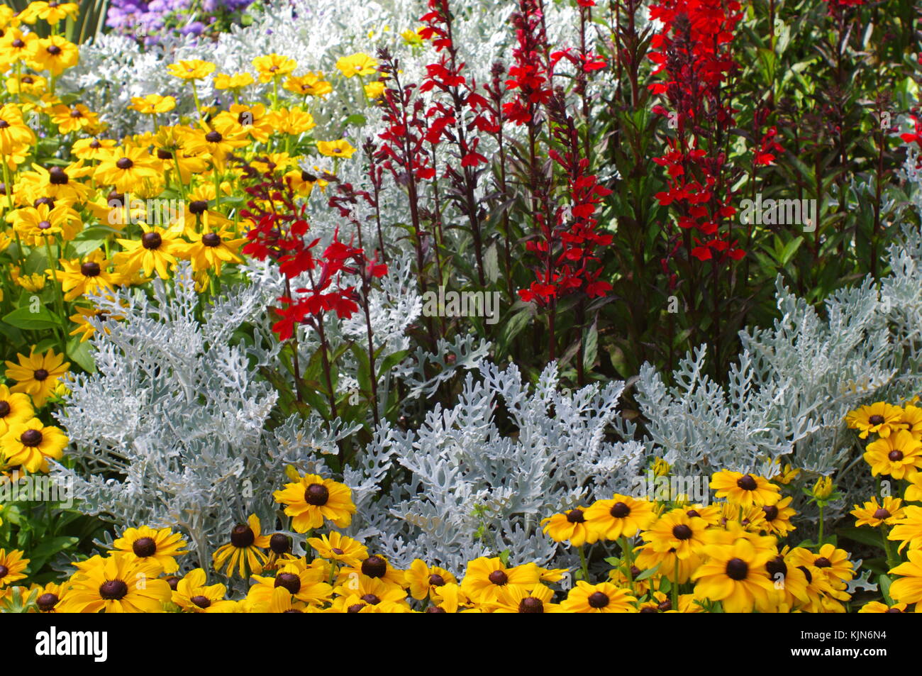 Garden with plenty of blooming Flowers Stock Photo - Alamy