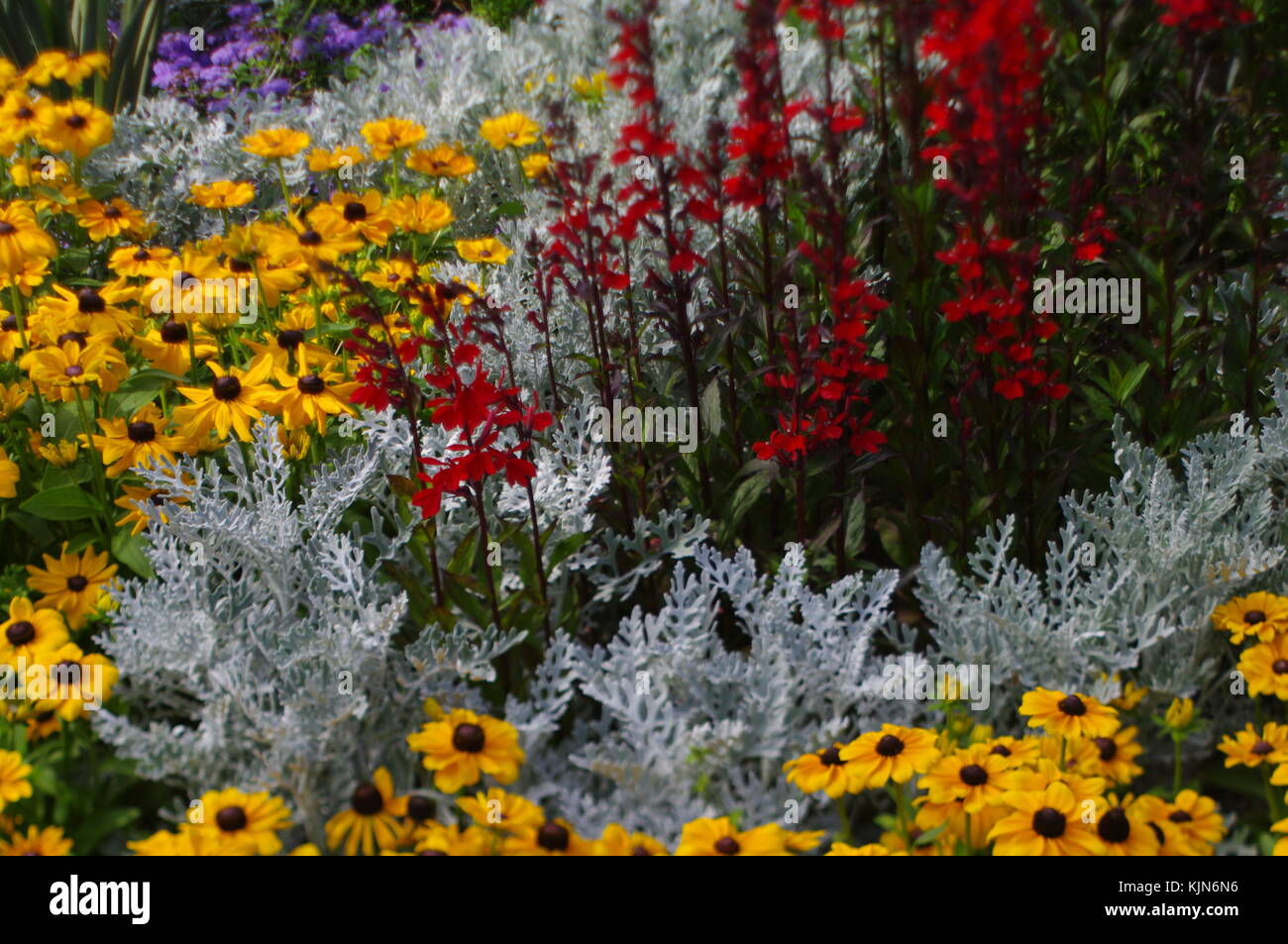 Garden with plenty of blooming Flowers Stock Photo - Alamy