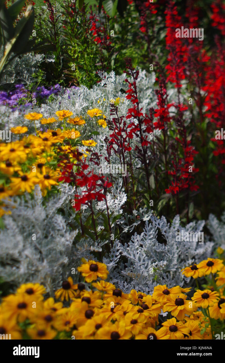 Garden with plenty of blooming Flowers Stock Photo - Alamy