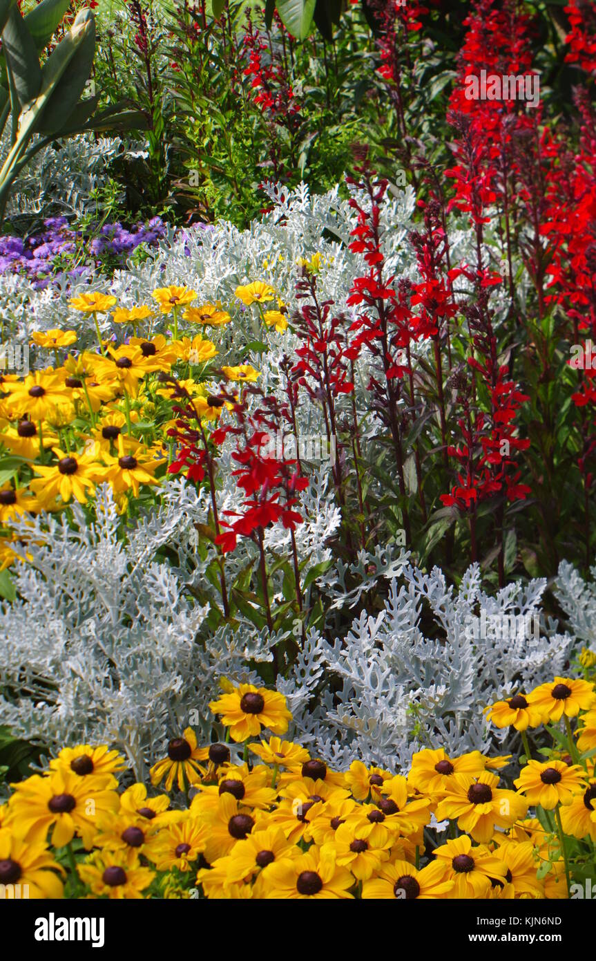 Garden with plenty of blooming Flowers Stock Photo - Alamy