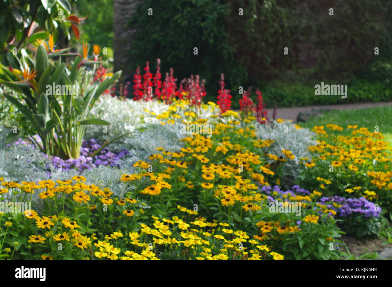 Garden with plenty of blooming Flowers Stock Photo - Alamy