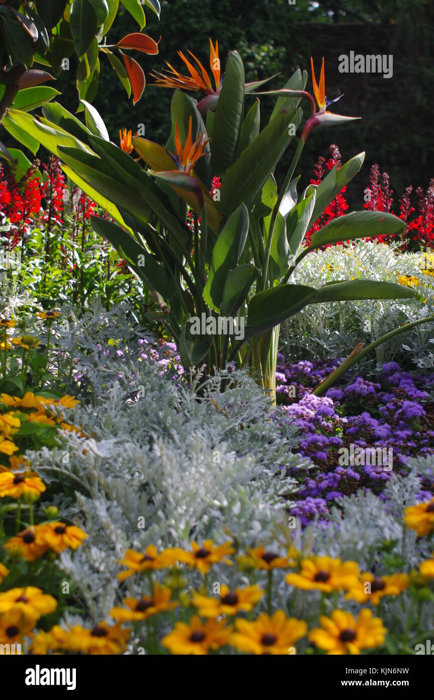 Garden with plenty of blooming Flowers Stock Photo - Alamy