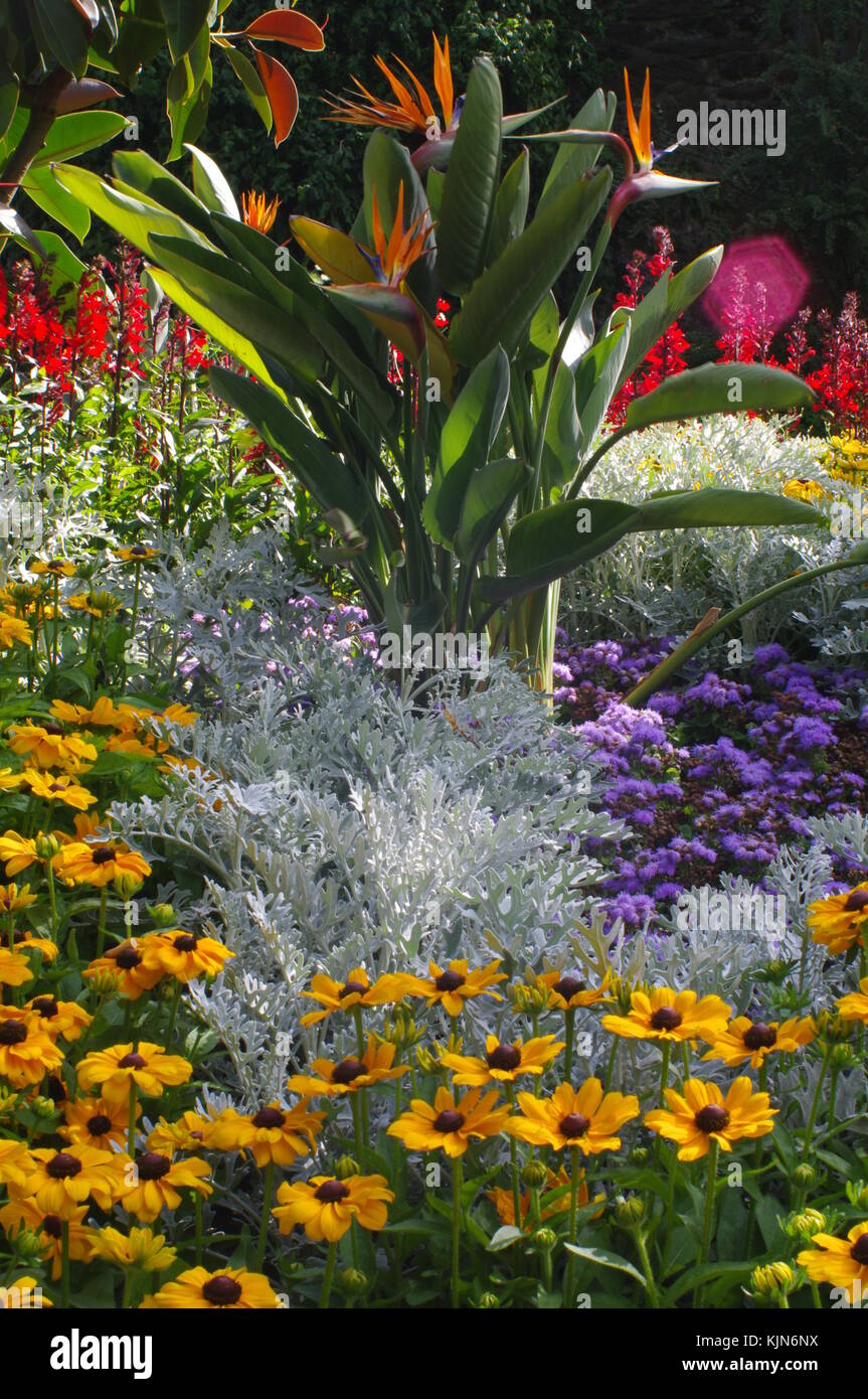 Garden with plenty of blooming Flowers Stock Photo - Alamy