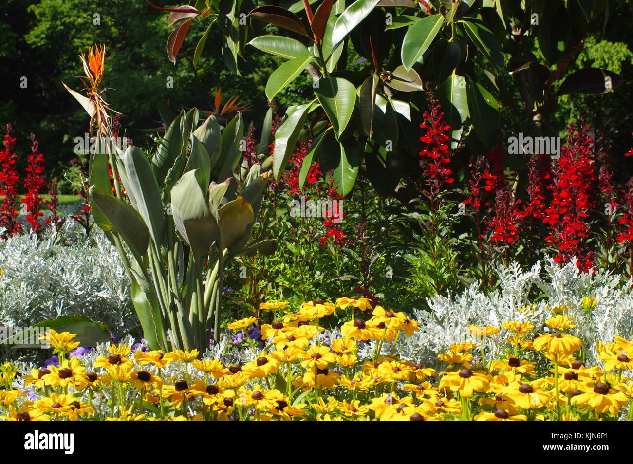 Garden with plenty of blooming Flowers Stock Photo - Alamy