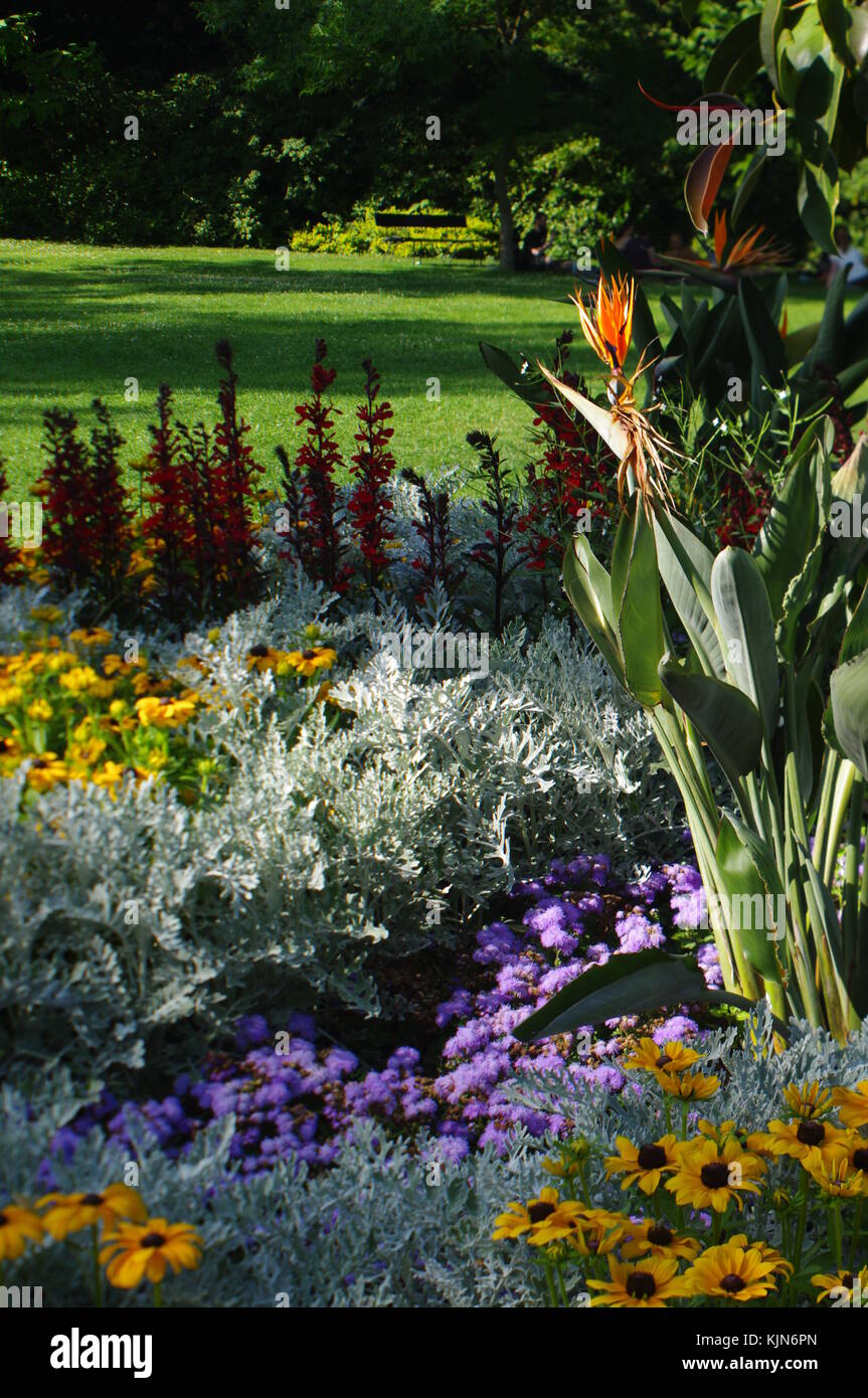 Garden with plenty of blooming Flowers Stock Photo - Alamy
