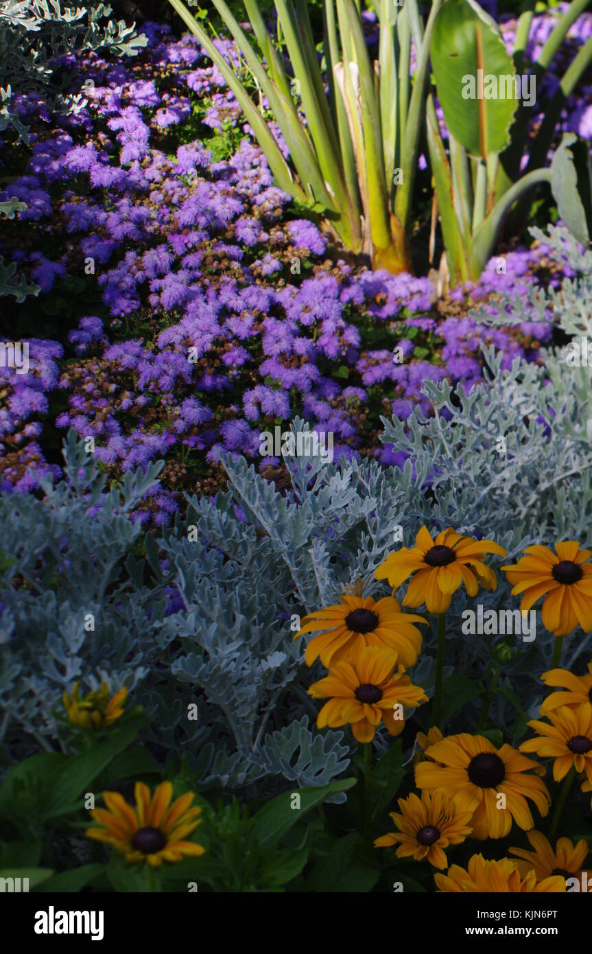 Garden with plenty of blooming Flowers Stock Photo - Alamy