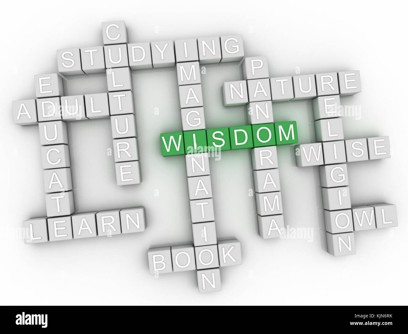3d Wisdom Concept word cloud Stock Photo - Alamy