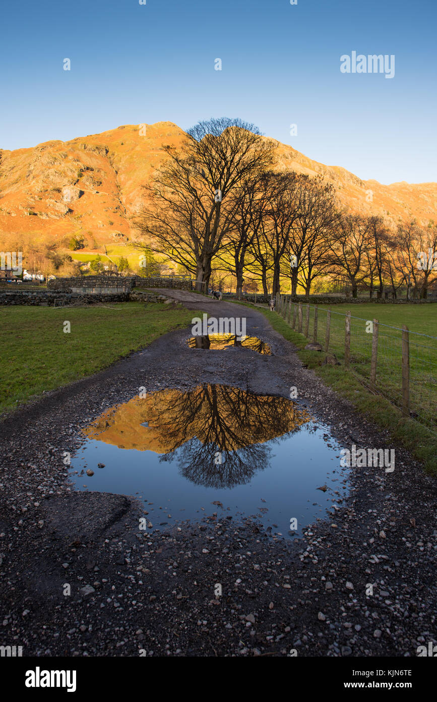 Reflected in fresh rain puddle hi-res stock photography and images - Alamy