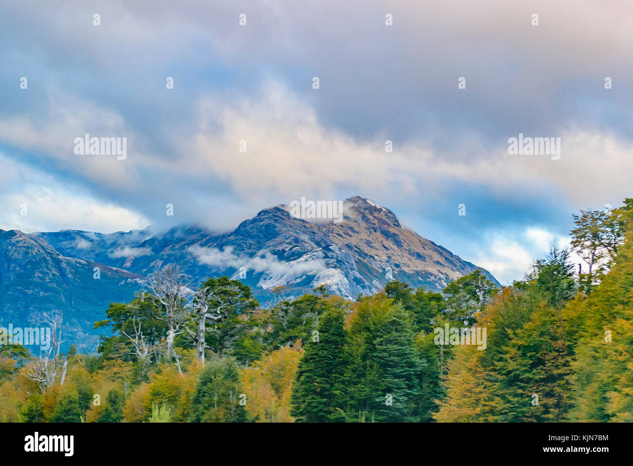 Forest and andes mountains landscape scene at chilean patagonian ...