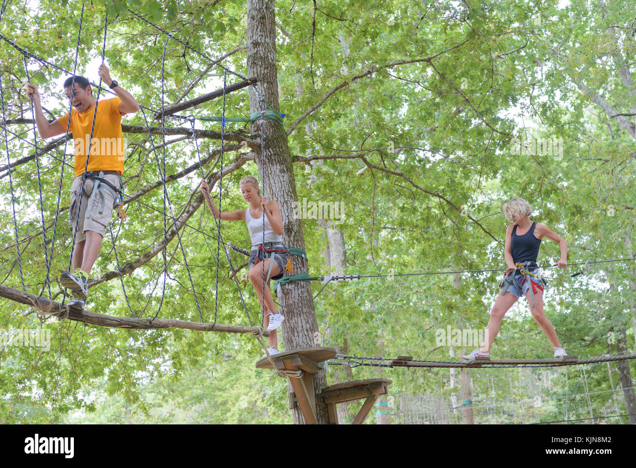 climbing in adventure park Stock Photo - Alamy