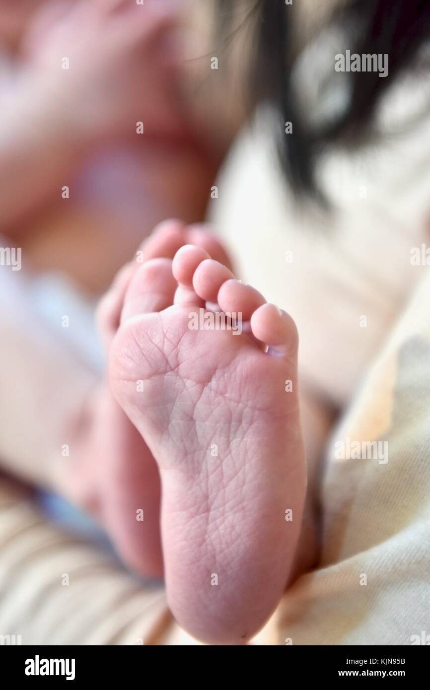 Newborn baby feet with cute little toes Stock Photo - Alamy
