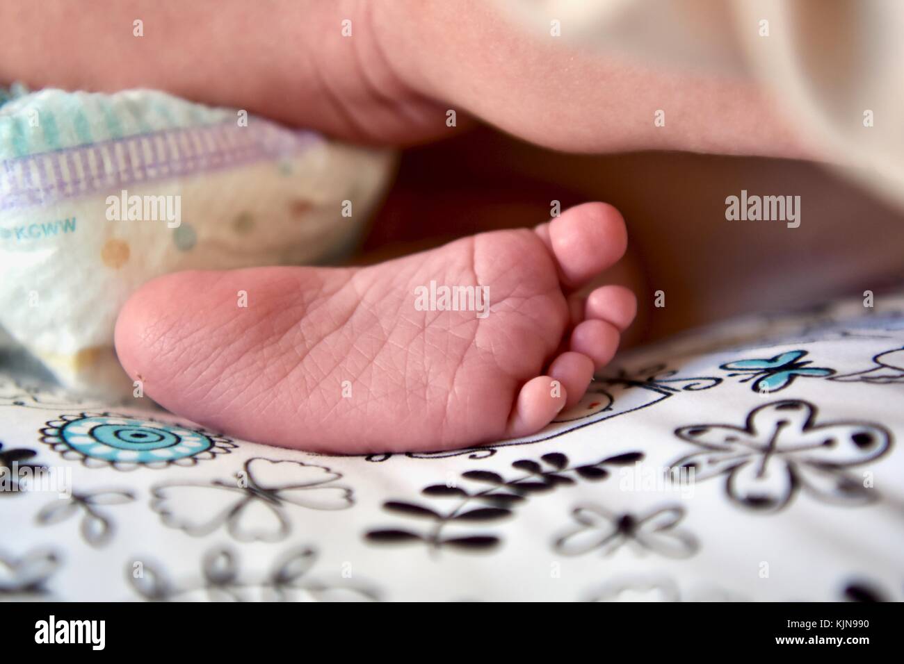 Newborn baby feet with cute little toes Stock Photo - Alamy