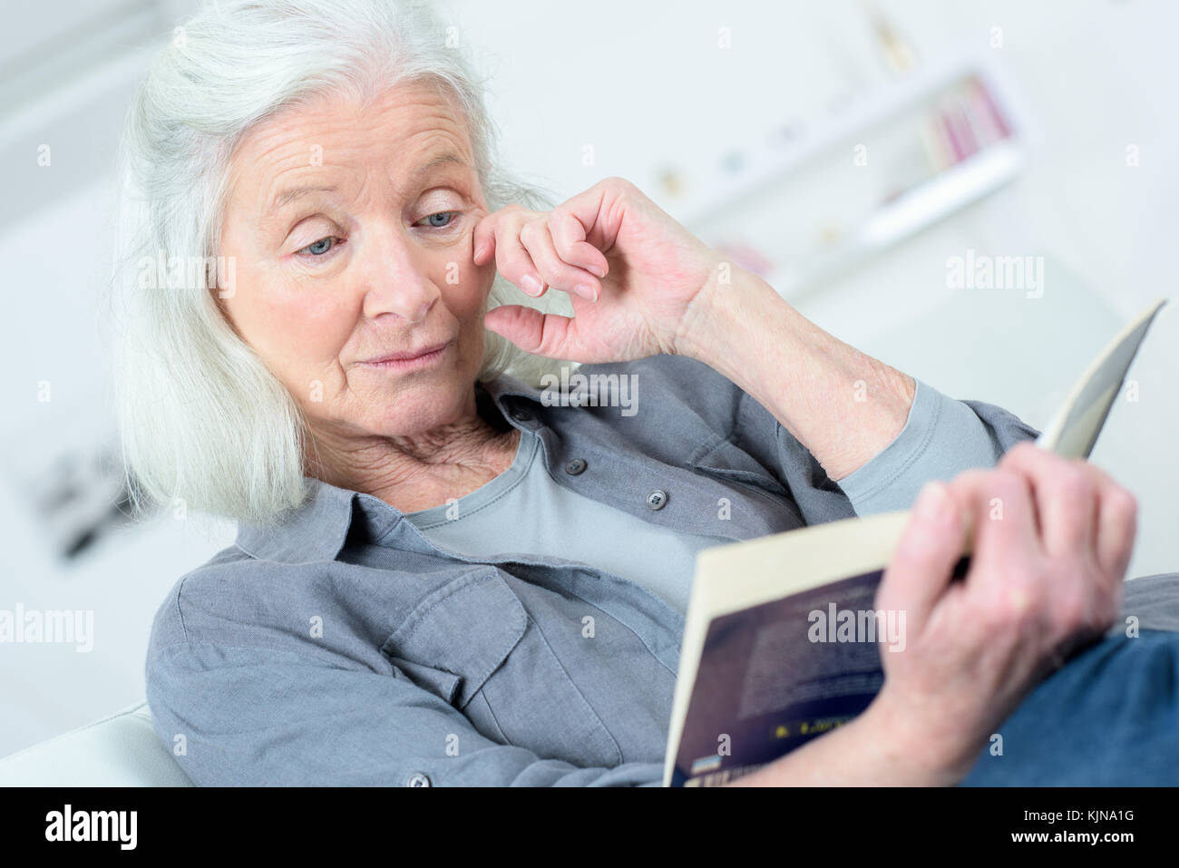 Elderly lady reading novel Stock Photo - Alamy
