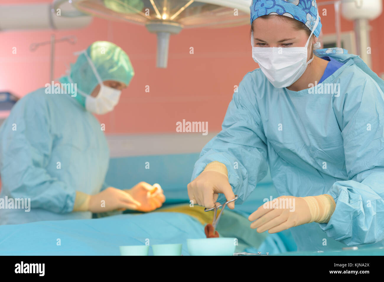 two surgeons at work in operating room Stock Photo - Alamy