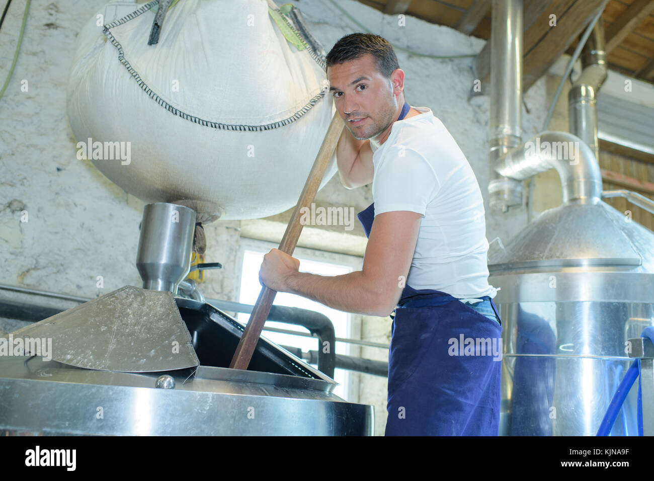 brewery worker working with beer malt Stock Photo - Alamy