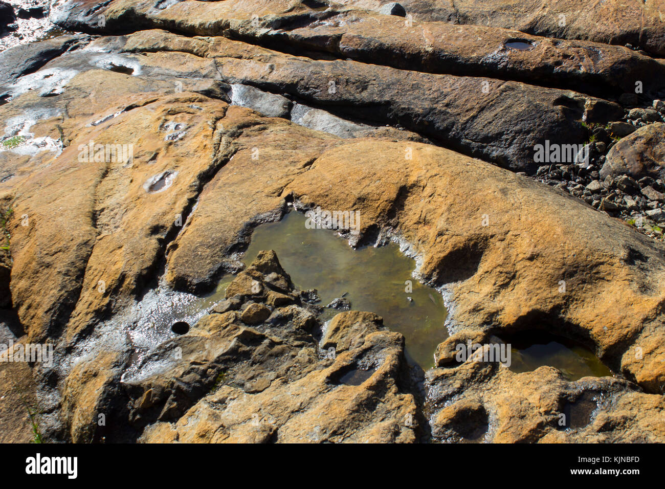 Scenic view of Wellington Dam near Collie Western Australia on a fine ...
