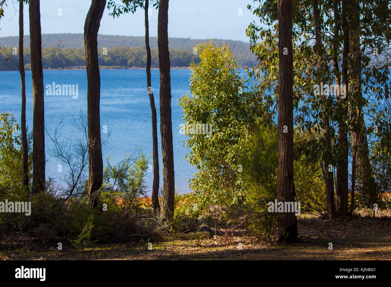 Peaceful scenic view of Potter's Gorge in Wellington National Park near ...