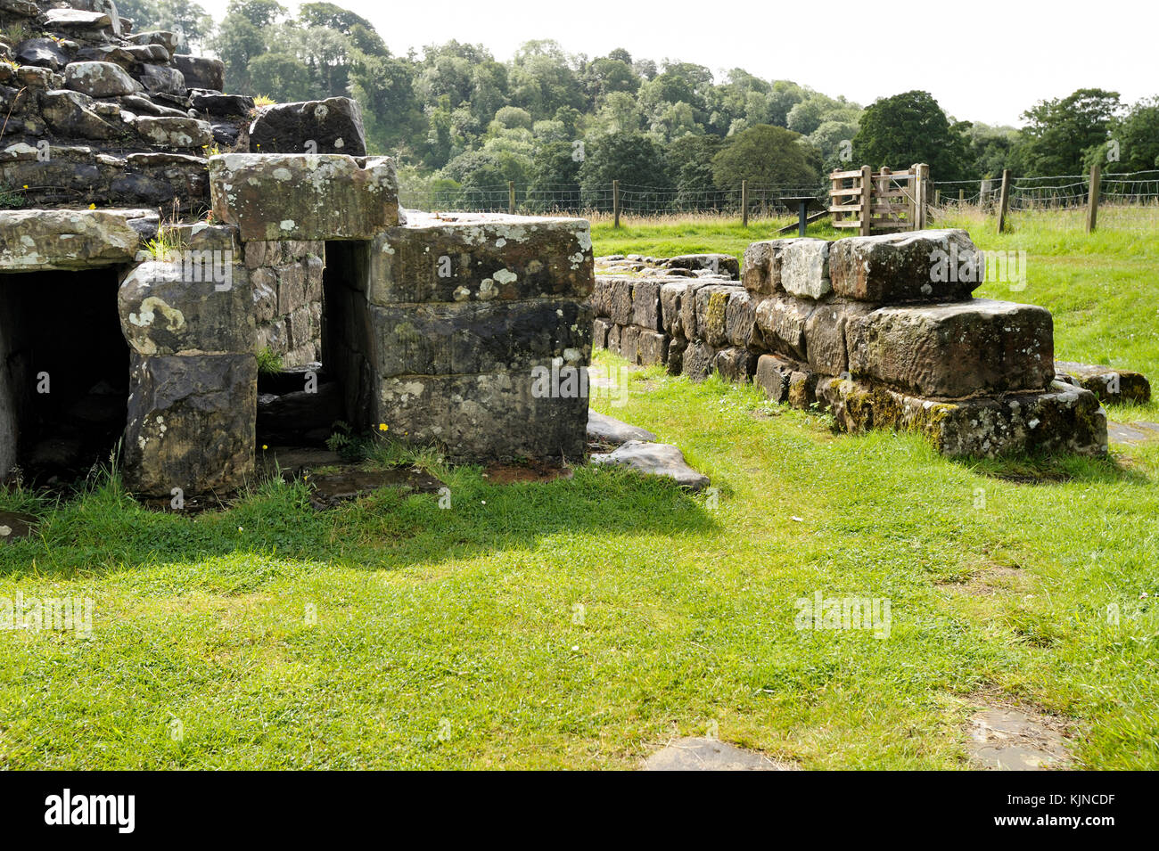 Willowford Roman Bridge High Resolution Stock Photography and Images - Alamy