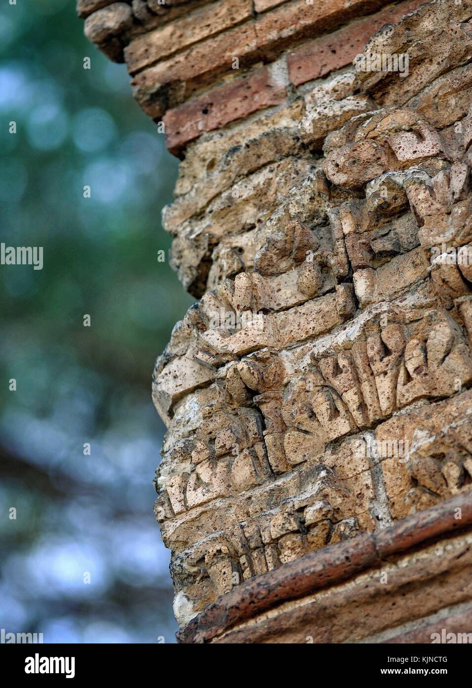 Restoration and opening to the public of Tomb Barberini at ...