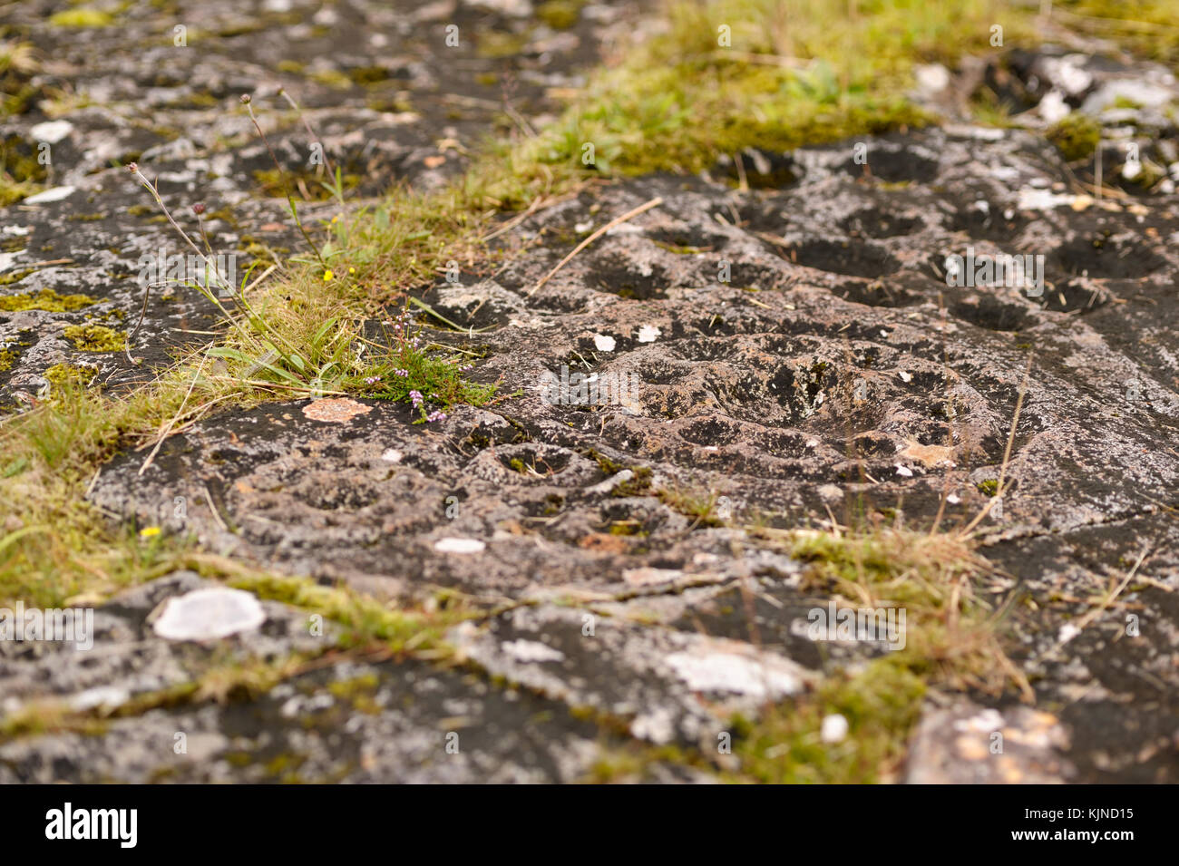 Rock ancient cup ring marks hi-res stock photography and images - Alamy