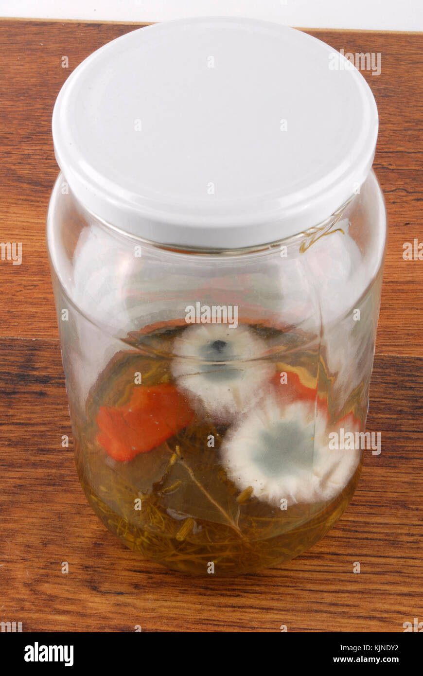 closeup of the mold in jar Stock Photo - Alamy