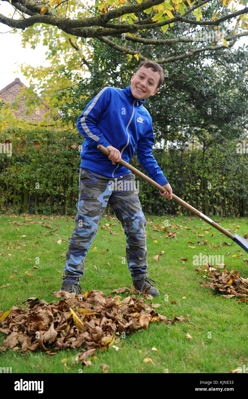 13 YEAR OLD CLEARING LEAVES IN HIS GRANDPARENTS GARDEN Stock Photo - Alamy