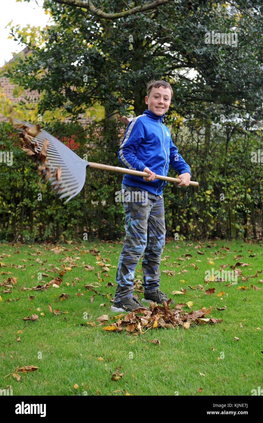 13 YEAR OLD CLEARING LEAVES IN HIS GRANDPARENTS GARDEN Stock Photo - Alamy
