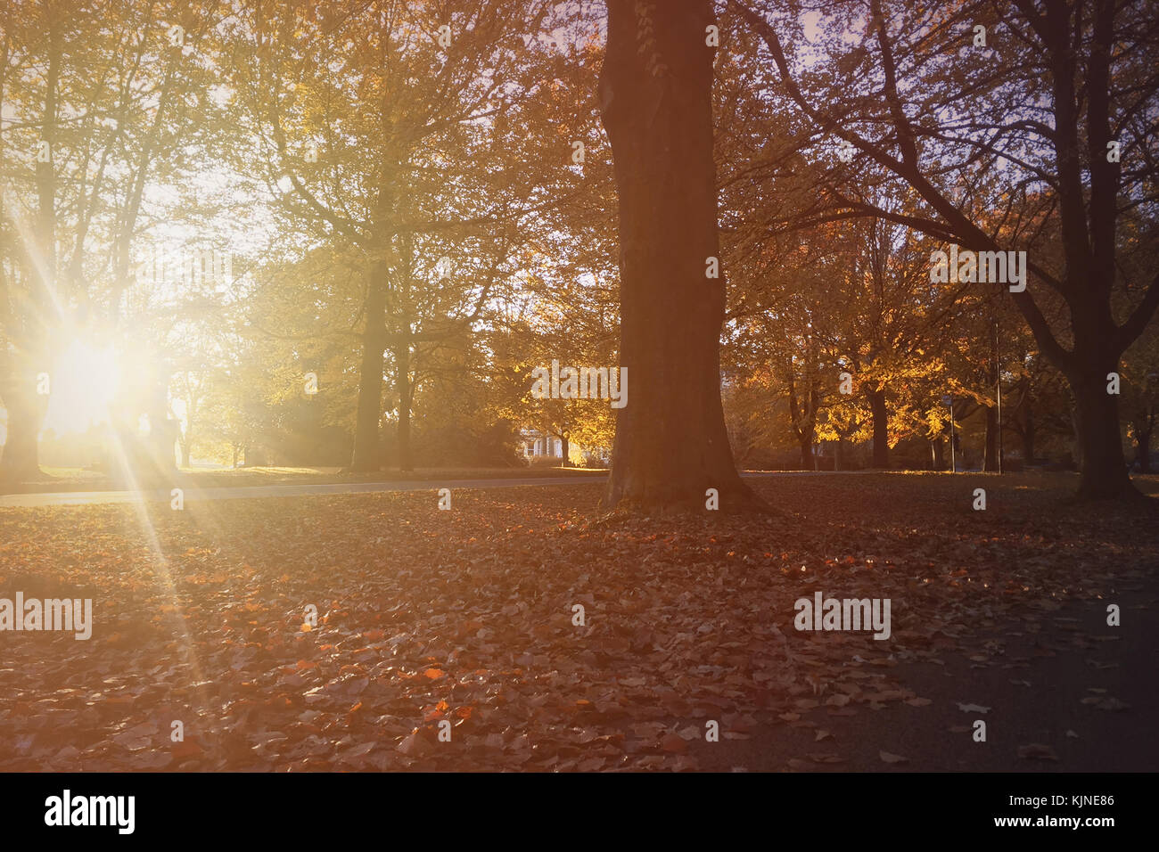 Explore bristol hi-res stock photography and images - Alamy