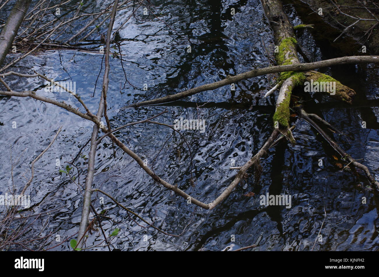 Rivulet during Spring Time Stock Photo - Alamy