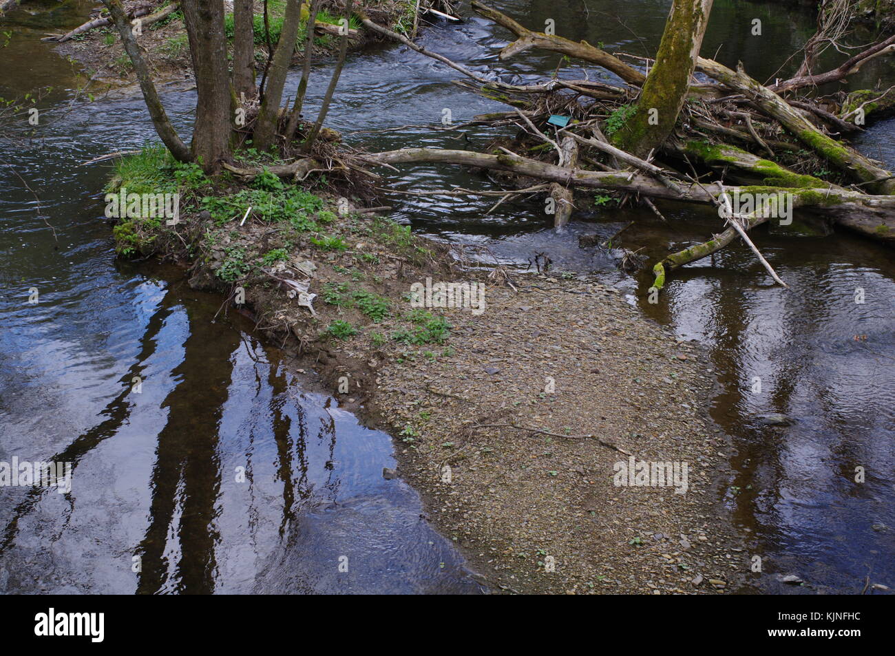 Rivulet during Spring Time Stock Photo - Alamy