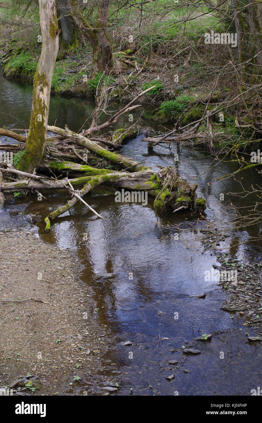 Rivulet during Spring Time Stock Photo - Alamy