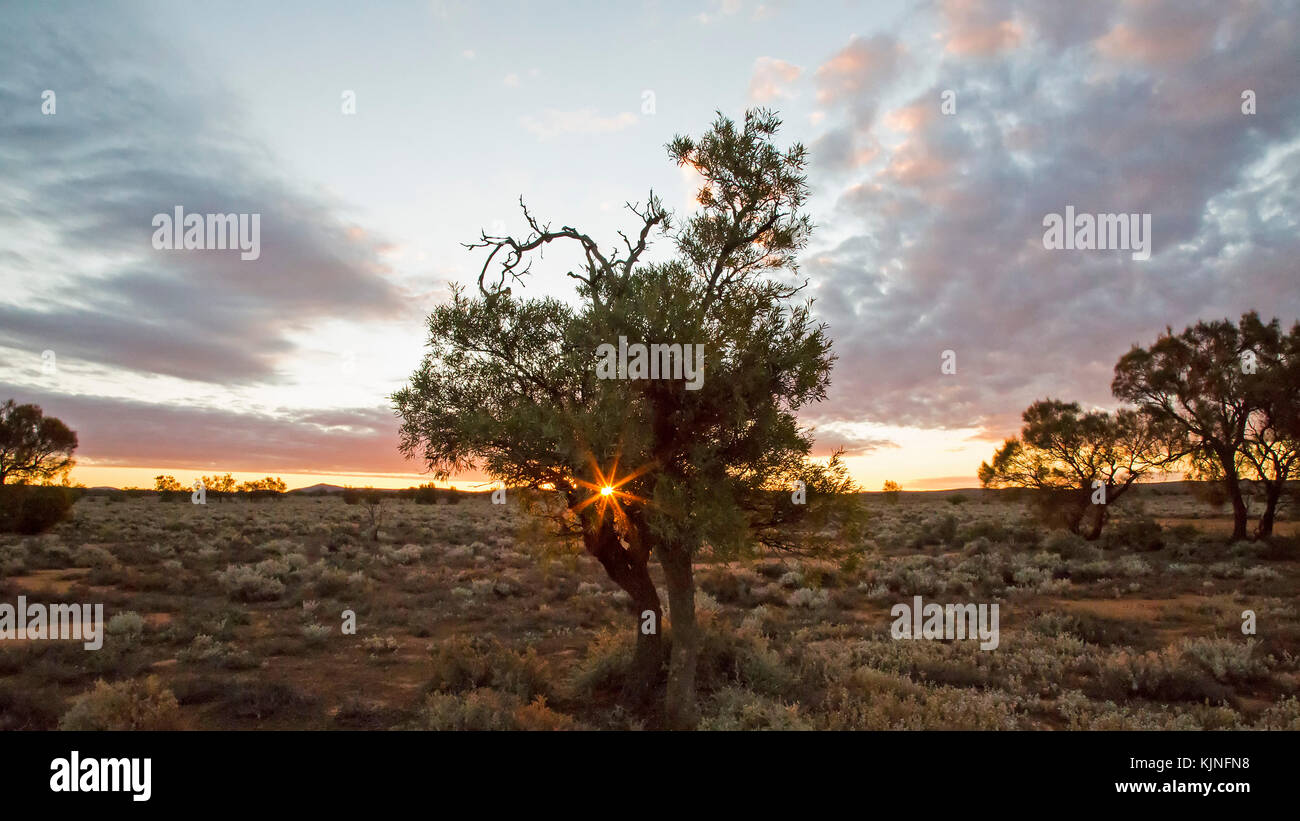 Australian outback hi-res stock photography and images - Alamy