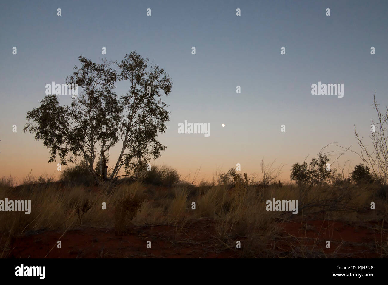 Moon Setting in the Australian Outback Stock Photo - Alamy
