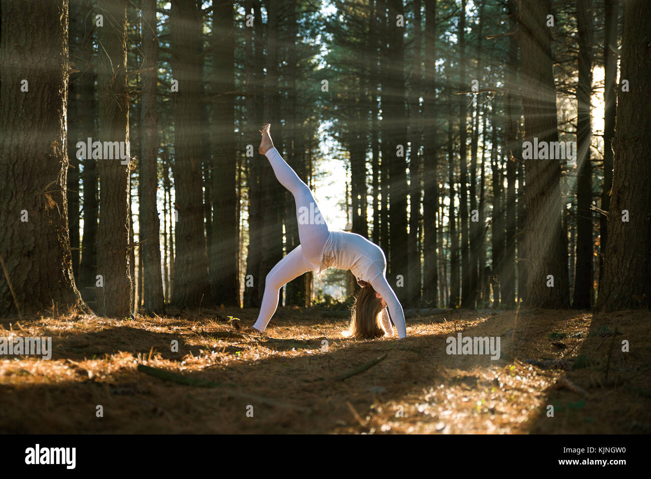 Girl doing yoga in the dense forest Stock Photo - Alamy