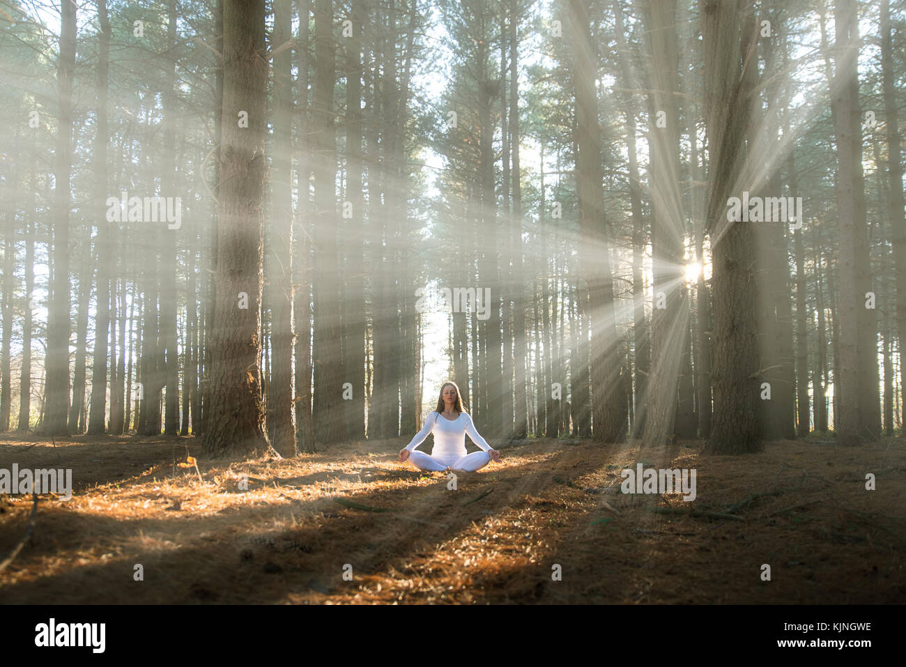 Girl doing yoga in the dense forest Stock Photo - Alamy