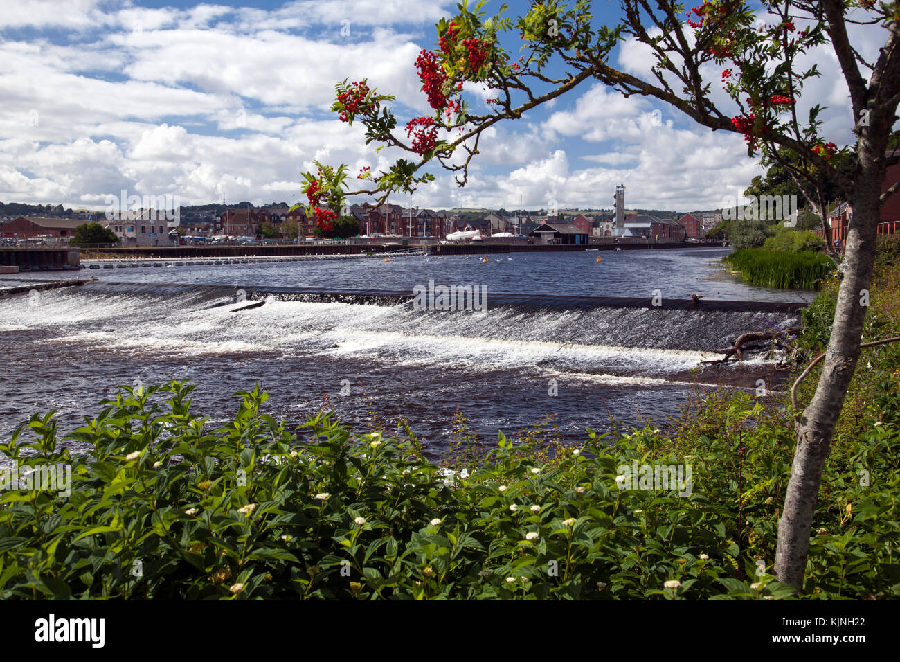 Trews Weir on River Exe Exeter Devon Stock Photo - Alamy